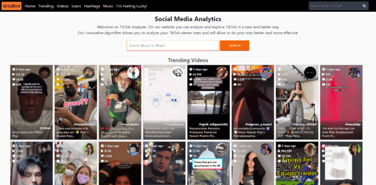 14 Best TikTok Viewer Apps to View Profiles Anonymously in 2024 - TraceMob